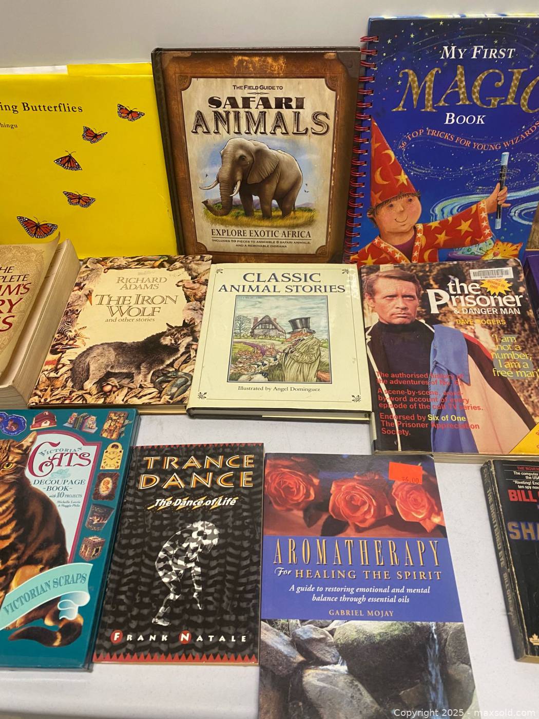Mixed Book Collection – Animals, Crafts, Fiction, Reference | Maxsold
