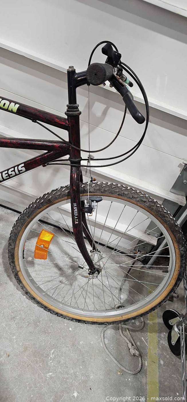 Genesis Reflection tandem bicycle | Maxsold