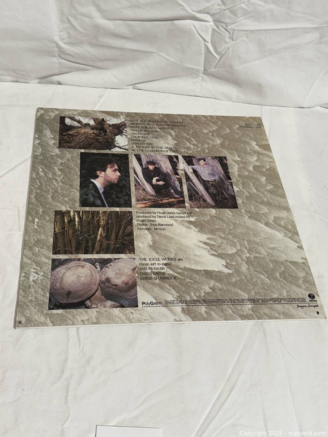 The Icicle Works self-titled vinyl LP 1984 | Maxsold