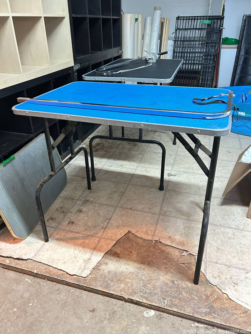 Portable folding pet grooming table with arm | Maxsold