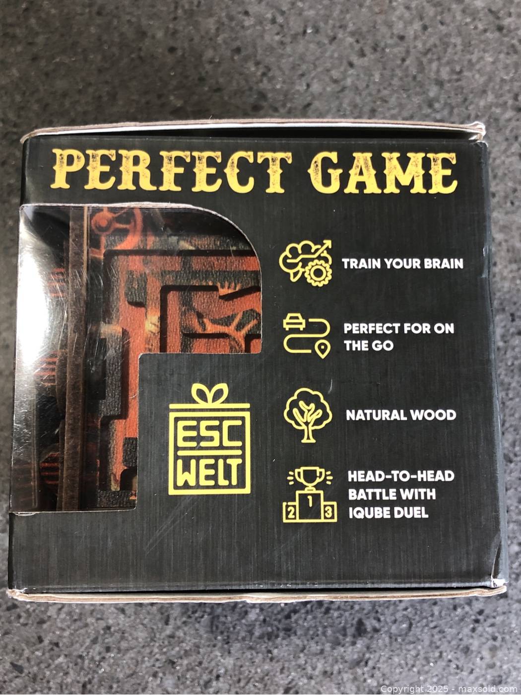 ESC WELT IQube Dark Logic Puzzle | Maxsold