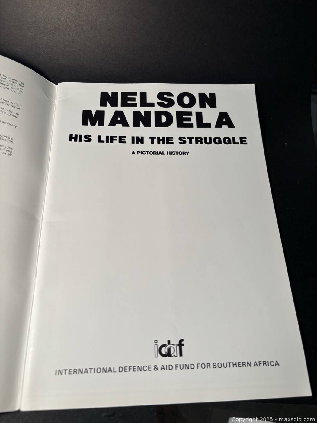 Nelson Mandela: His Life in the Struggle pictorial history | Maxsold