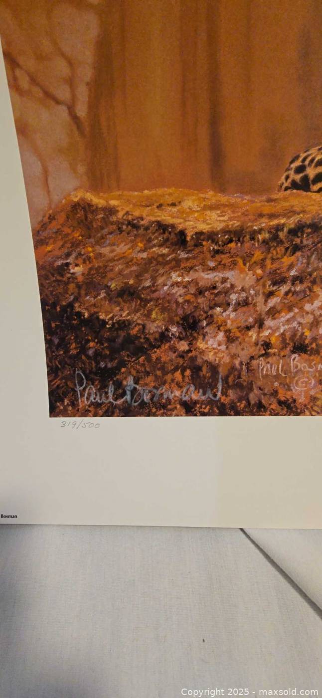 Paul Bosman signed limited edition leopard print 319/500 | Maxsold