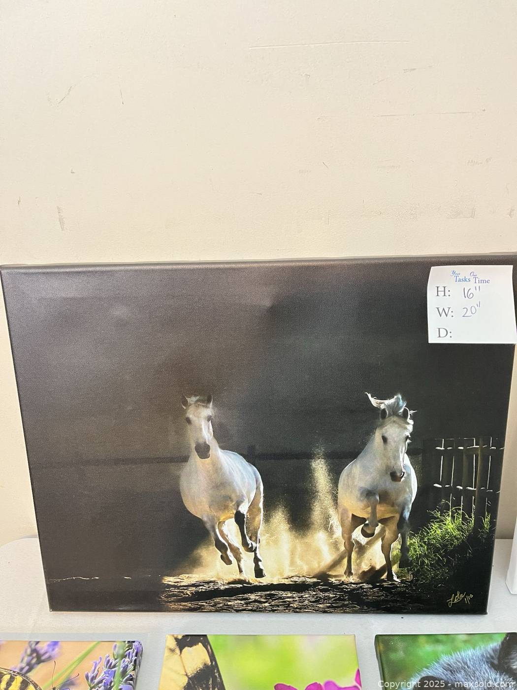 Stretched Canvas Nature & Wildlife Prints | Maxsold