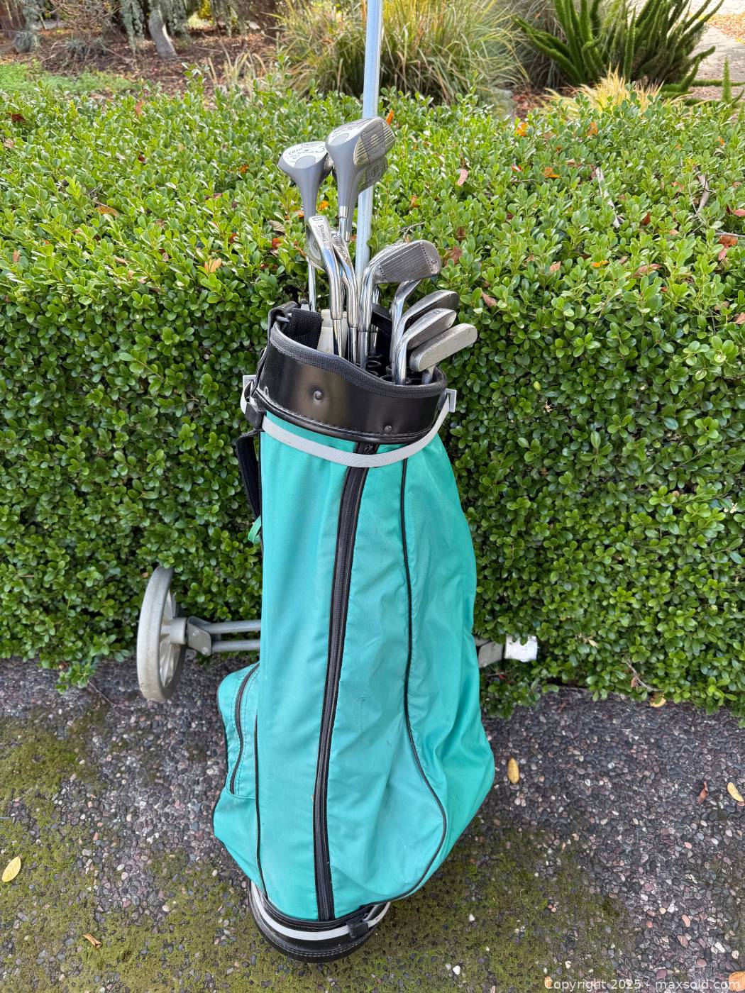 Spalding Elite golf clubs with MacGregor bag | Maxsold
