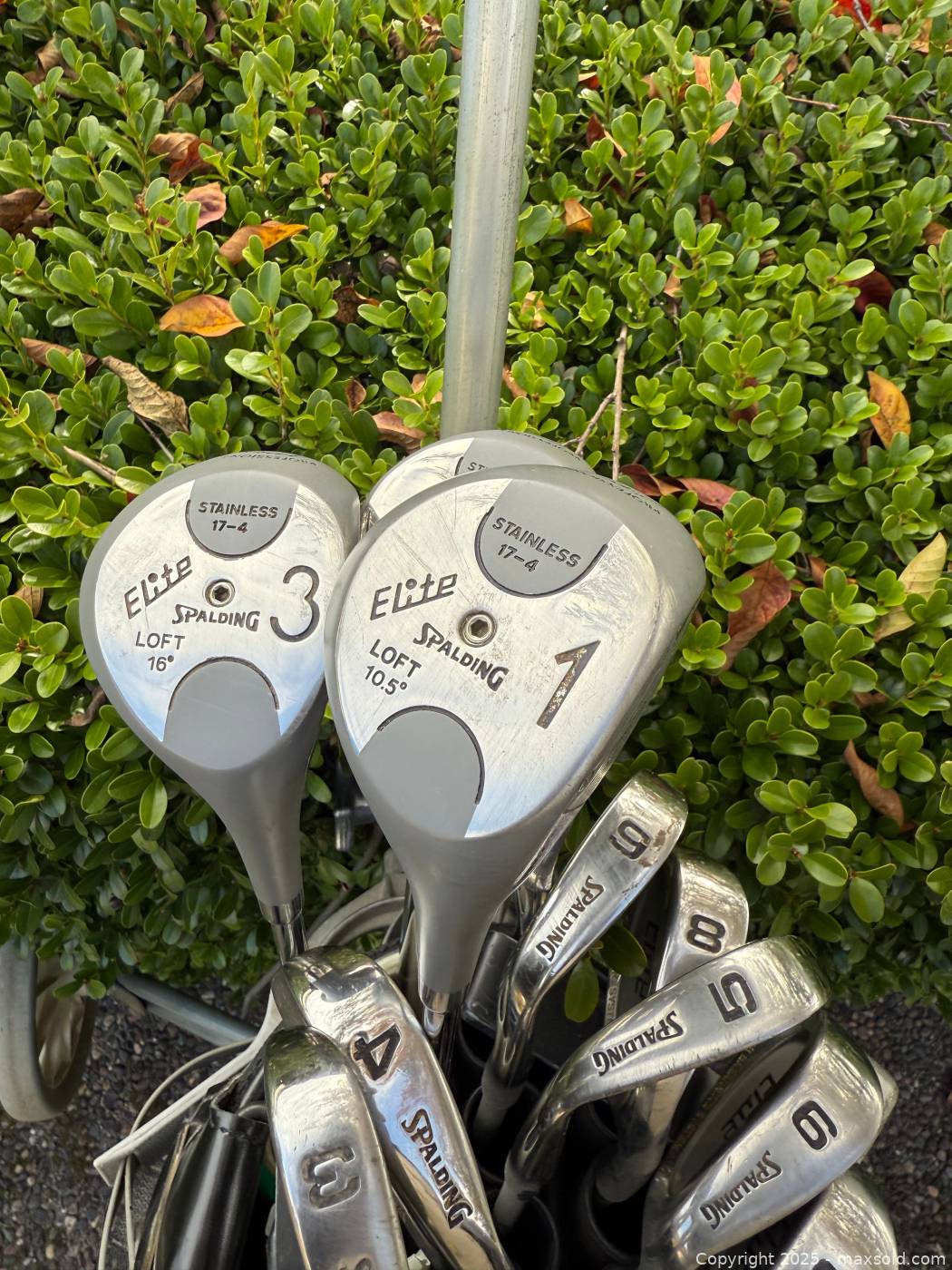 Spalding Elite golf clubs with MacGregor bag | Maxsold
