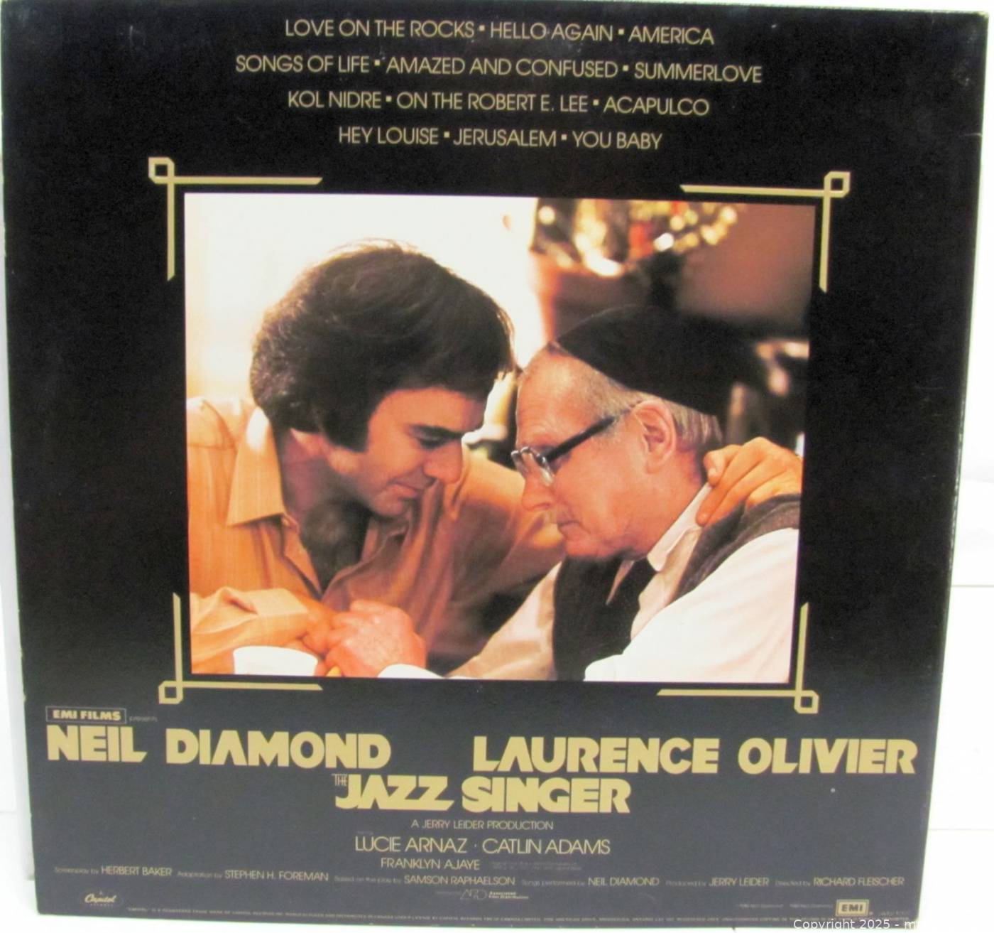 Neil Diamond The Jazz Singer vinyl LP | Maxsold