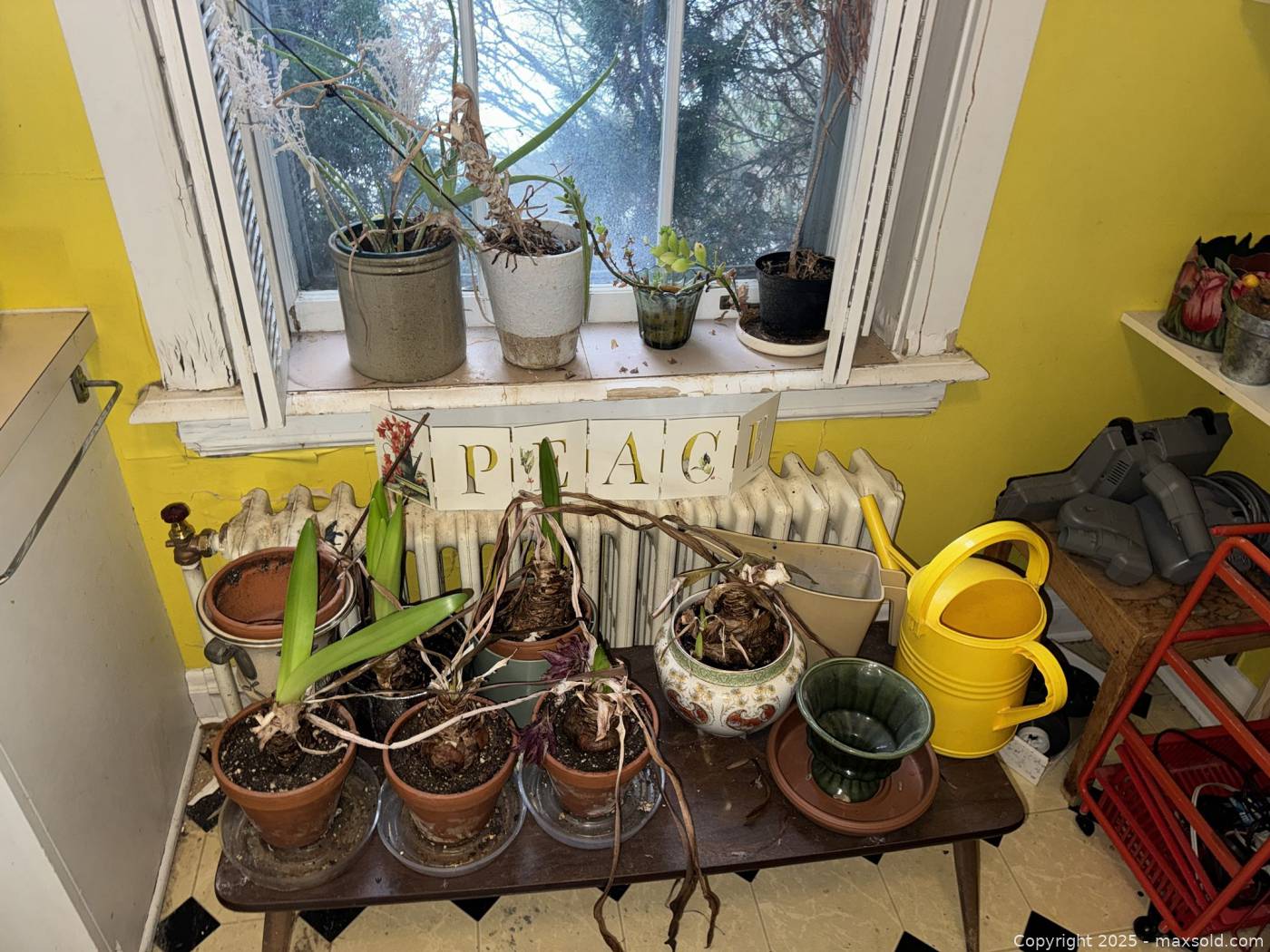 Assorted plant pots, planters, watering cans and table | Maxsold