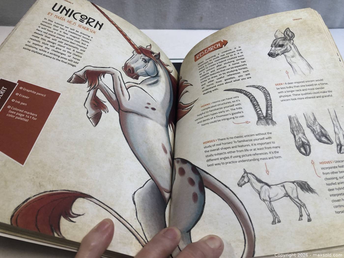 Beginner's Guide to Fantasy Drawing book | Maxsold