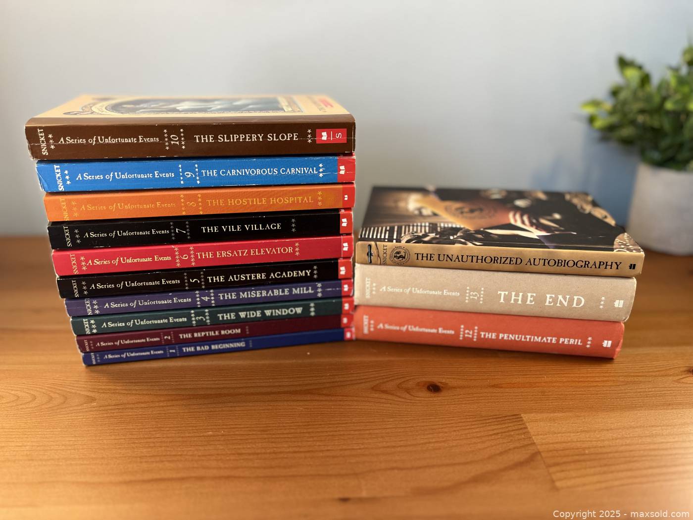 A Series of Unfortunate Events Books | Maxsold