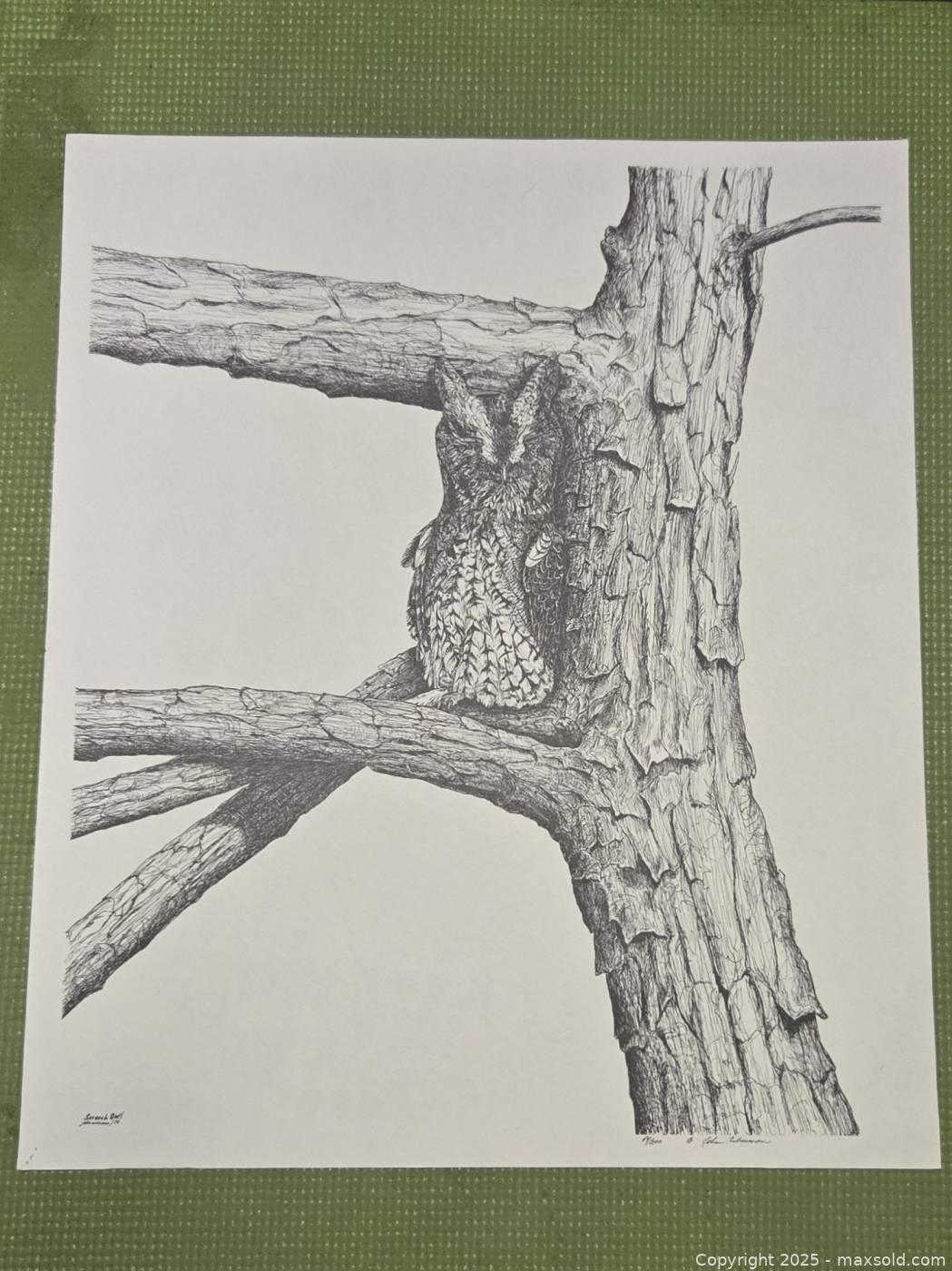 John Wiseman signed 1976 screech owl lithograph 67/200 | Maxsold