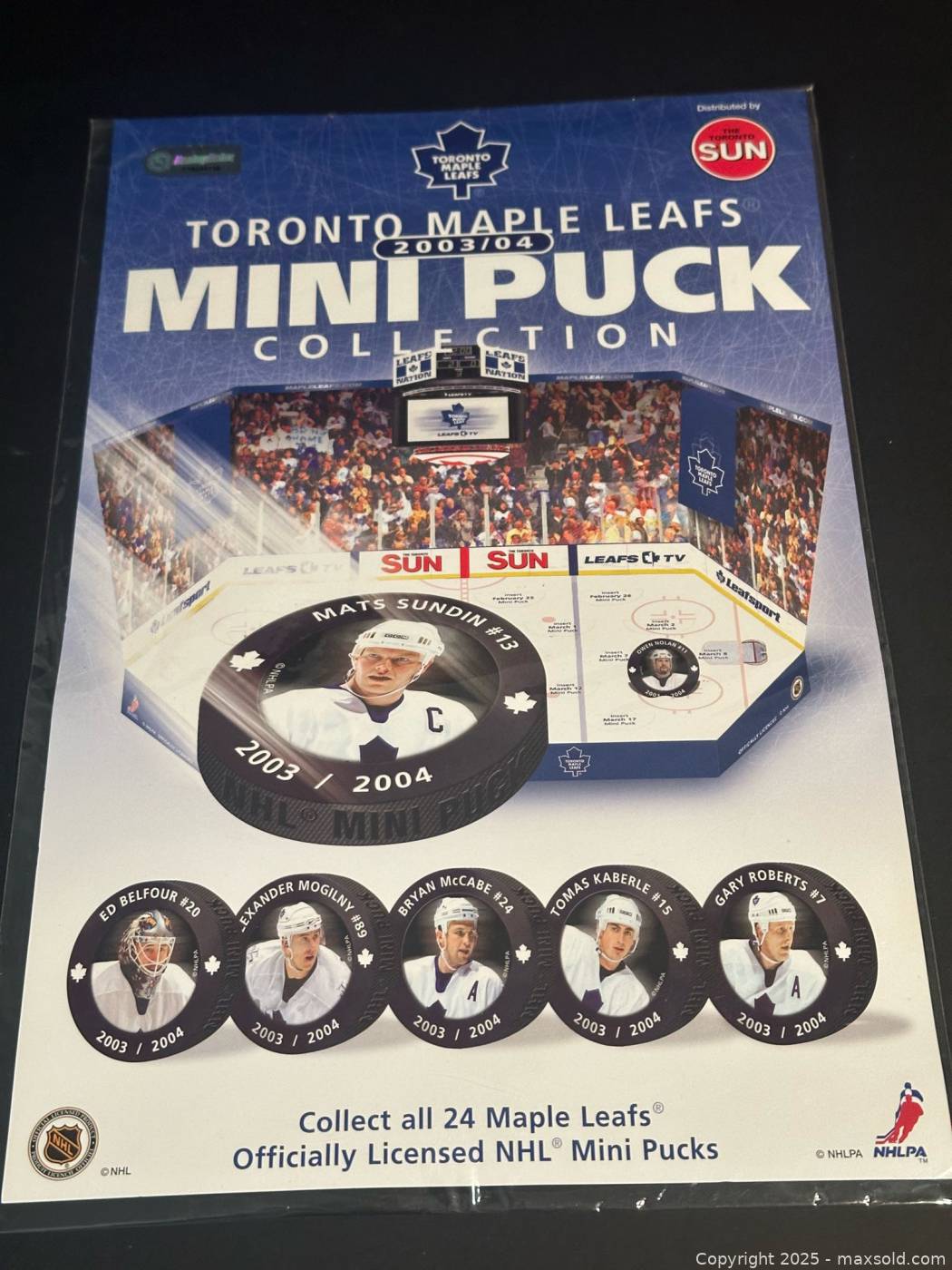 Toronto Maple Leafs mini puck display 2003-04 | Maxsold