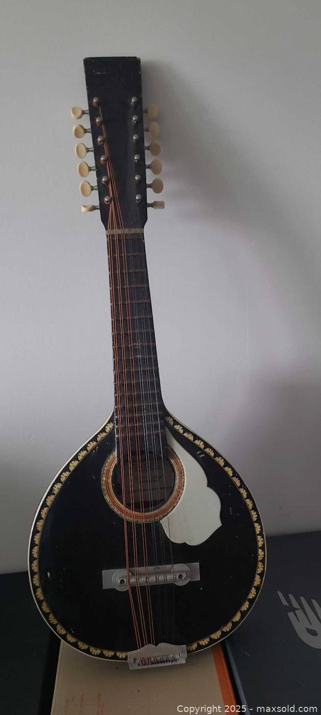 Lapu Lapu 12-string teardrop mandolin | Maxsold
