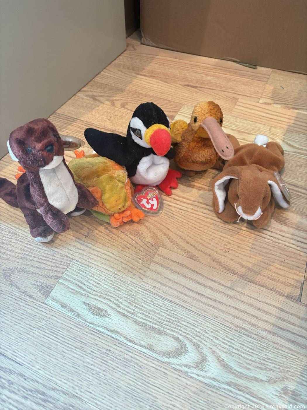 Ty Beanie Babies plush lot of 5 | Maxsold