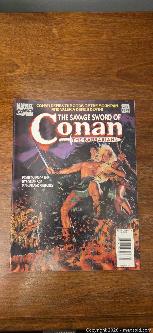 The Savage Sword of Conan #213 comic | Maxsold