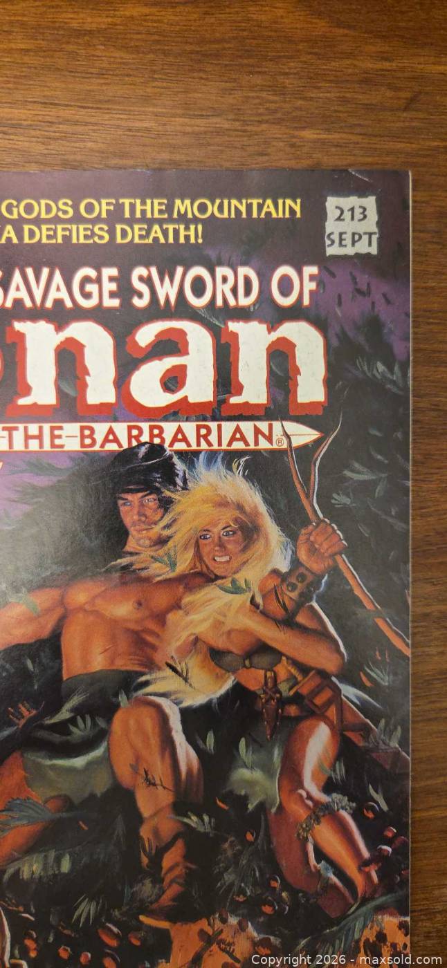 The Savage Sword of Conan #213 comic | Maxsold