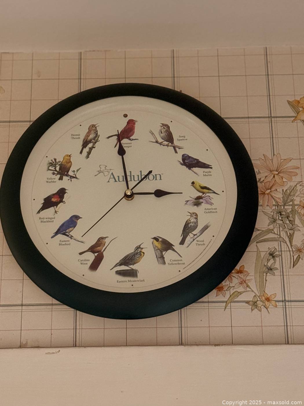 Audubon Singing Bird Wall Clock | Maxsold