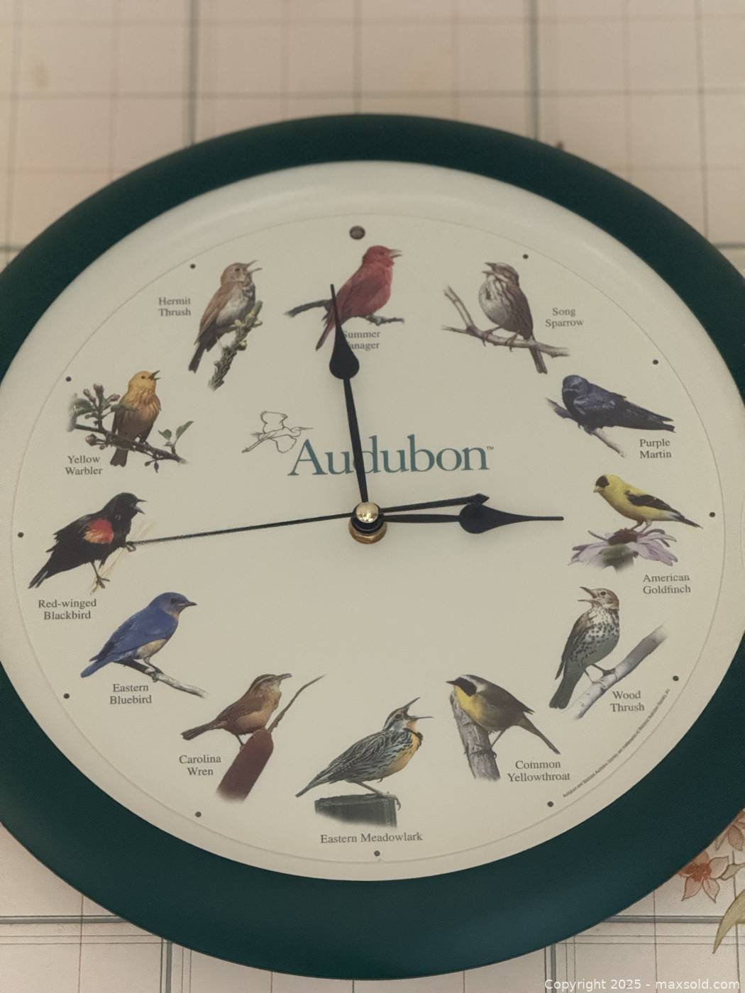 Audubon Singing Bird Wall Clock | Maxsold