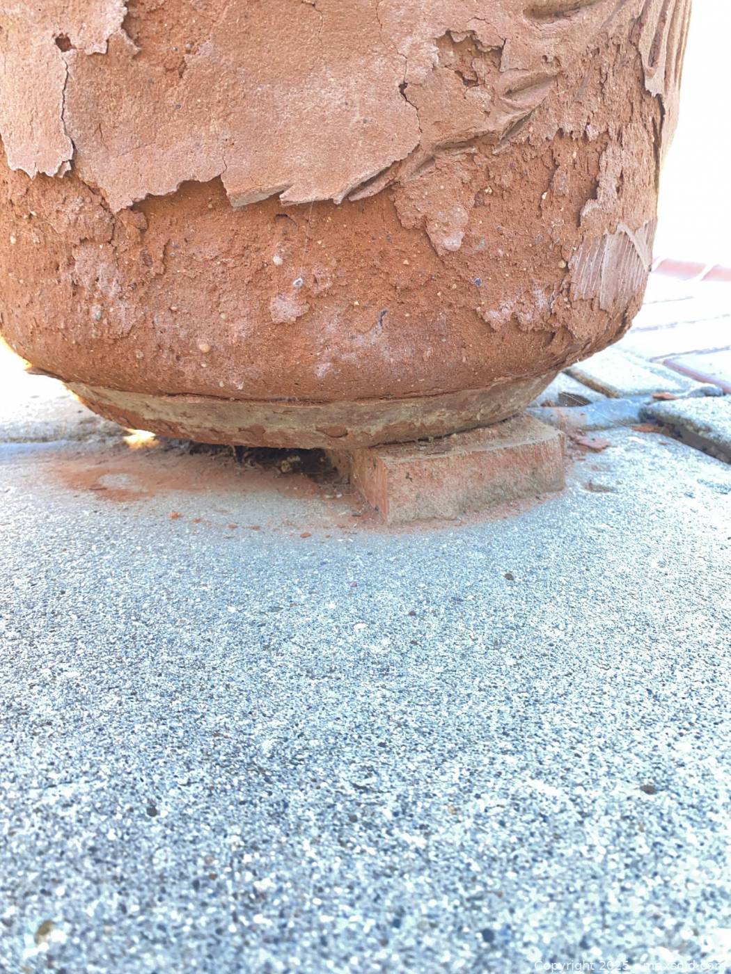 Terracotta Pot Planter 14.5" x 17" | Maxsold