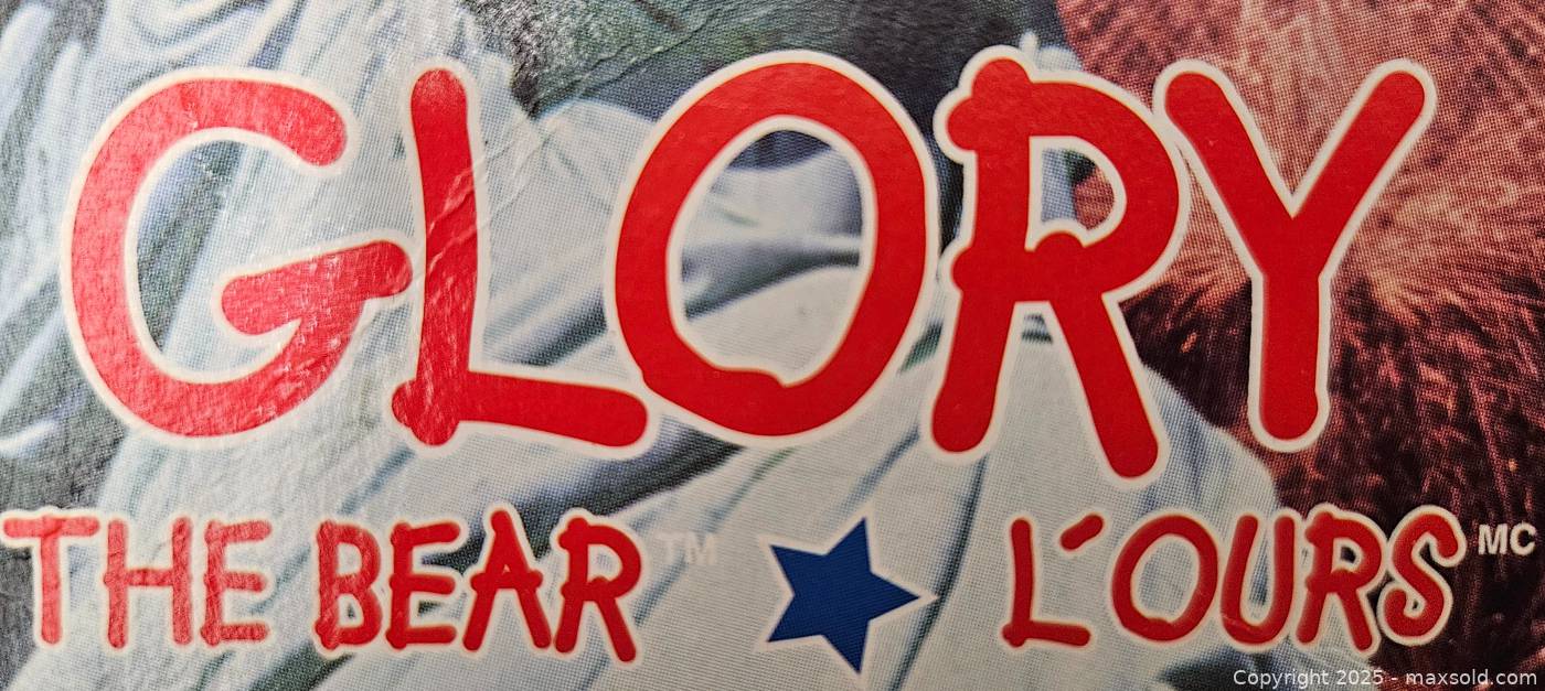 Ty Glory the Bear Beanie Baby in Original Blister Packaging | Maxsold