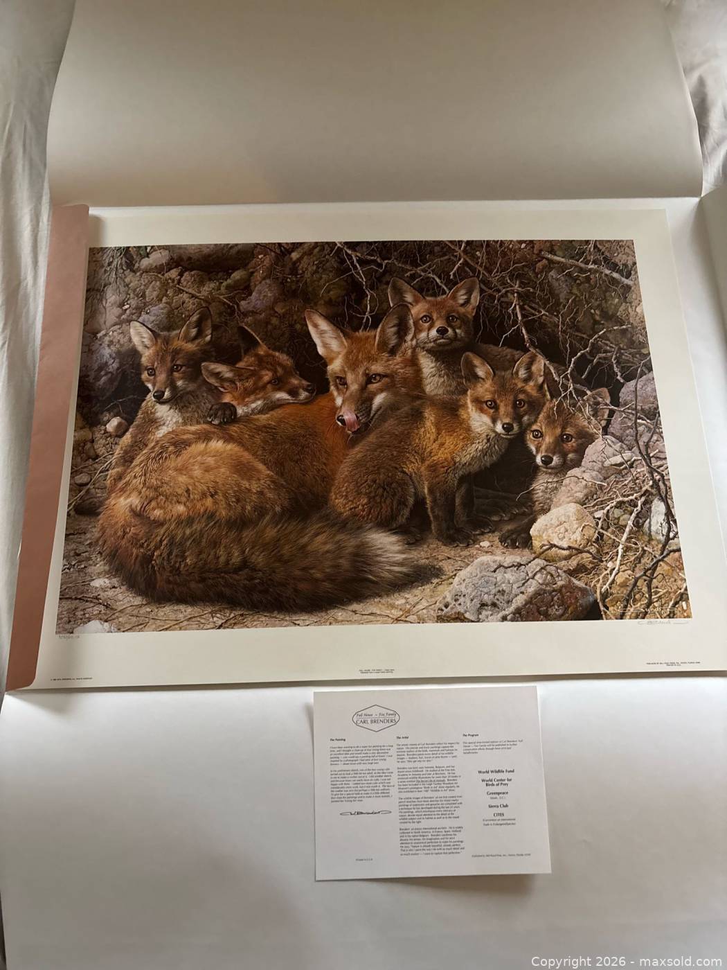 Carl Brenders signed limited edition Fox Family print | Maxsold