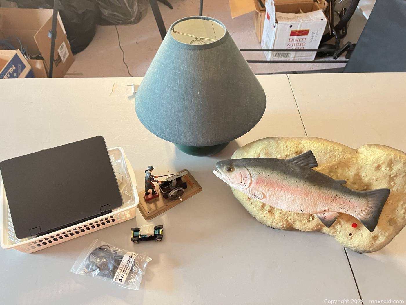 Toshiba portable DVD player, desk lamp, Travis singing trout ...