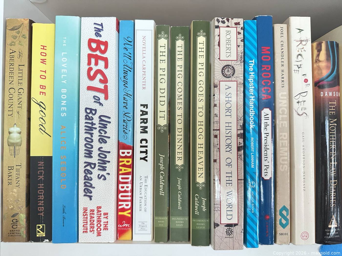 Assorted Lot of 28 Fiction & Non-Fiction Books | Maxsold