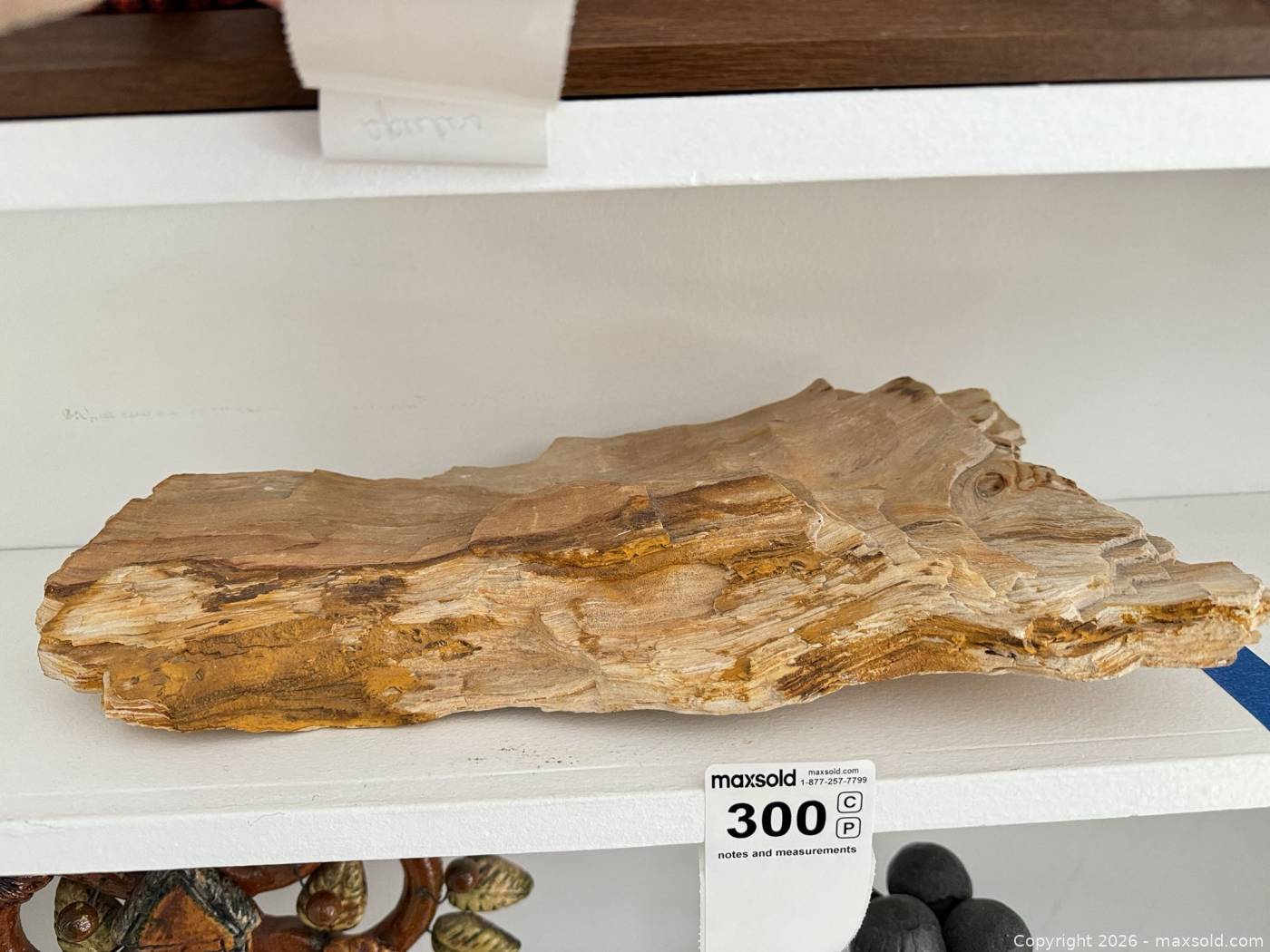 Petrified wood slab 15" x 8" | Maxsold