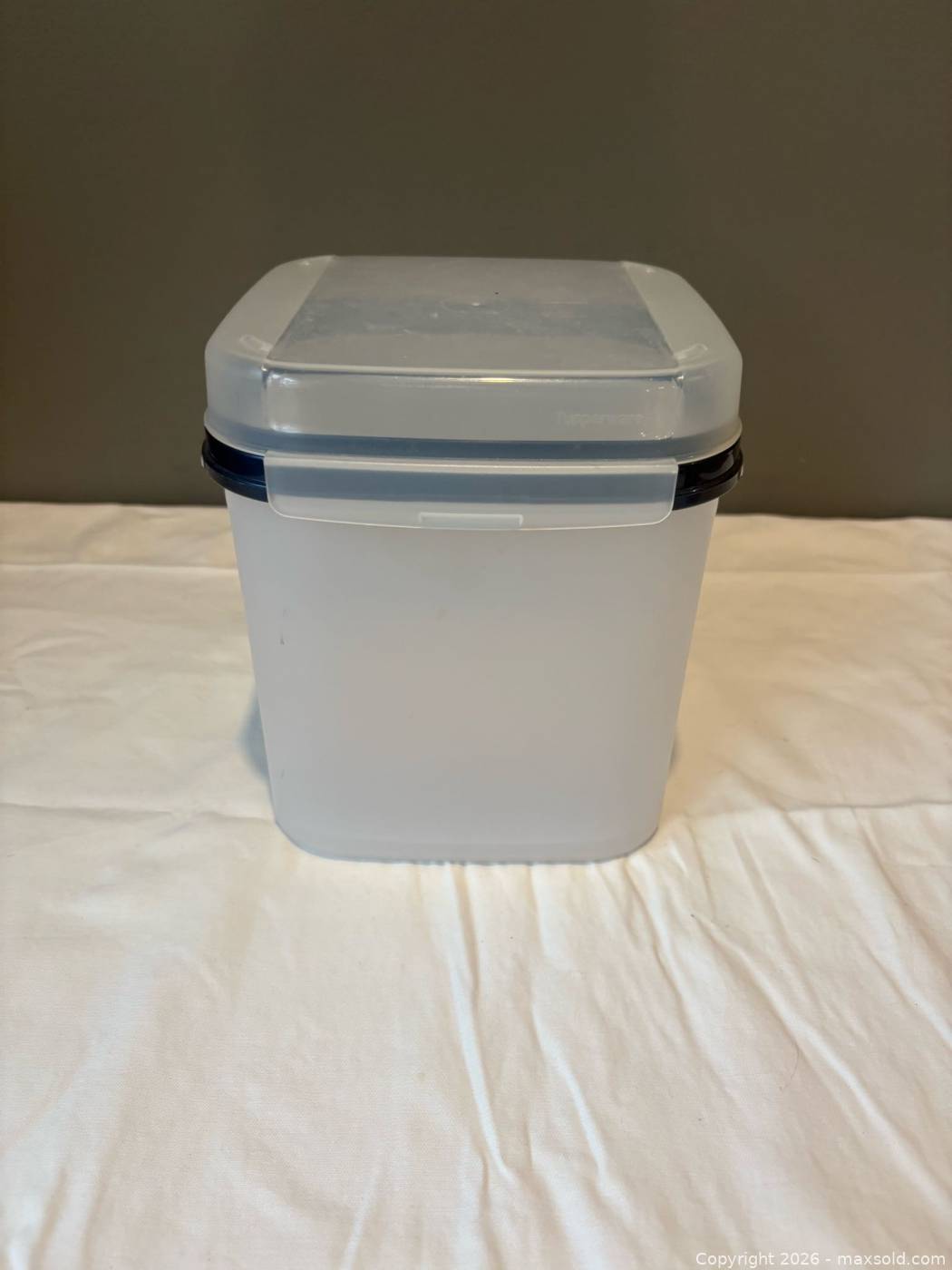 Frosted Tupperware Fruit Storage Container | Maxsold