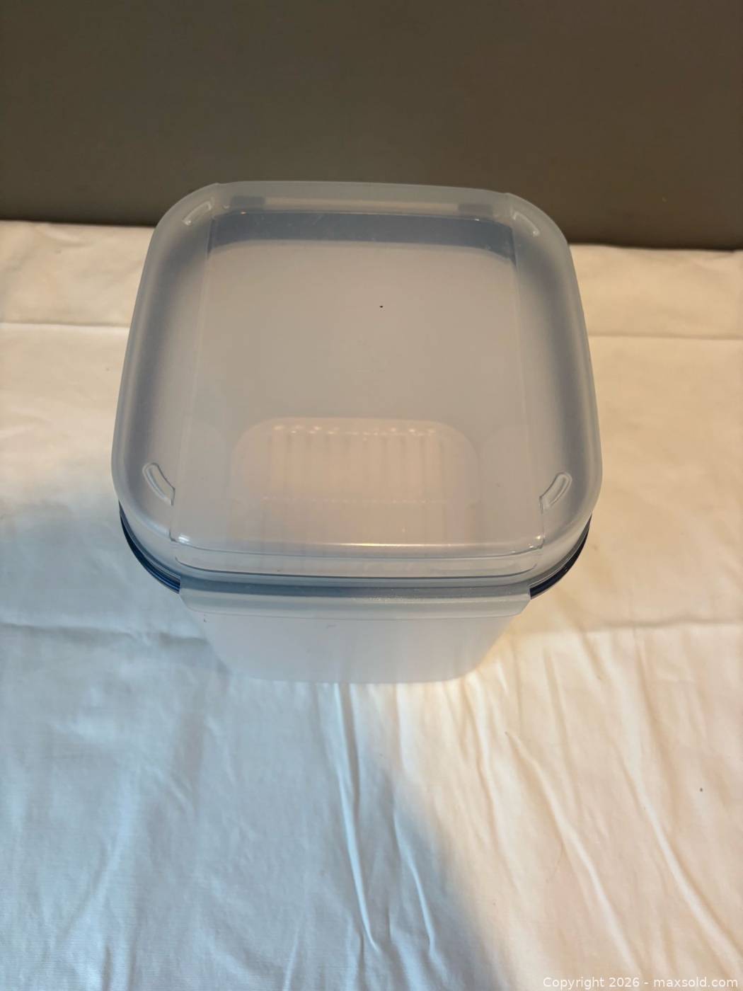 Frosted Tupperware Fruit Storage Container | Maxsold