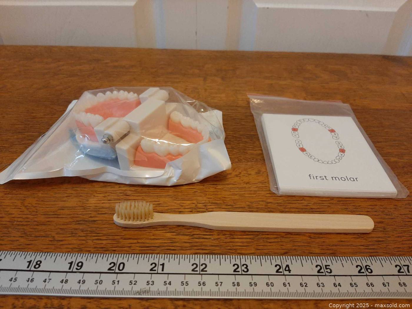 Montessori teeth brushing activity set | Maxsold