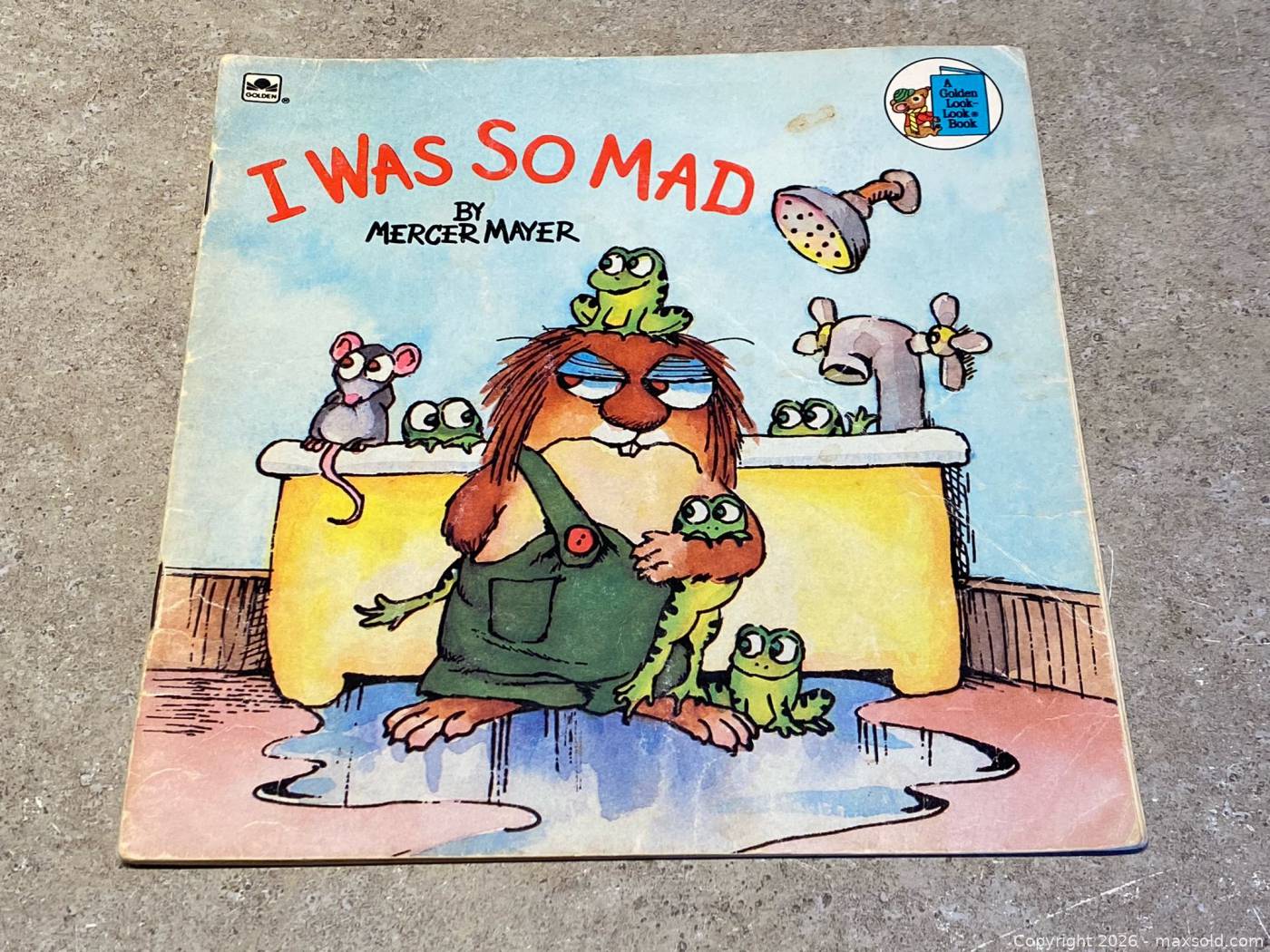 11 Mercer Mayer Little Critter picture books | Maxsold