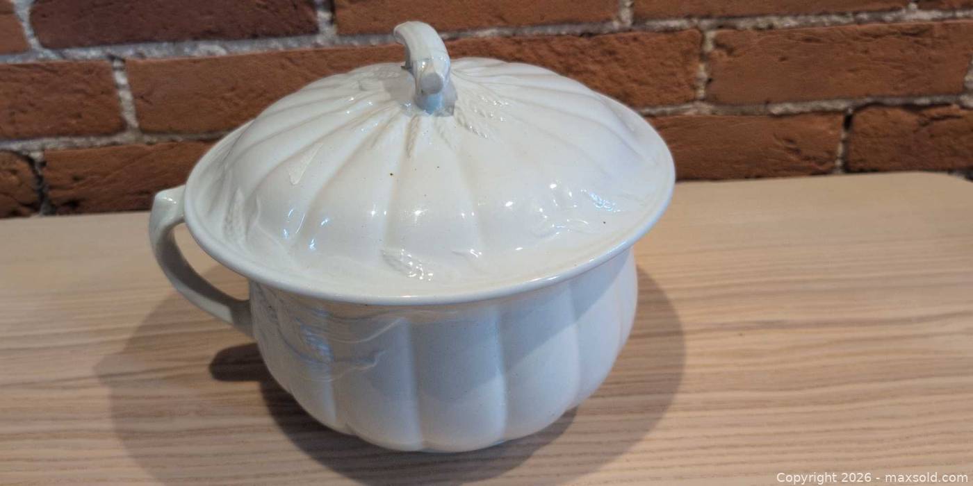 Baker & Co. Ltd Pearl White earthenware chamber pot with lid | Maxsold