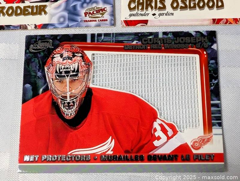 Martin Brodeur, Chris Osgood, Curtis Joseph NHL goalie cards | Maxsold