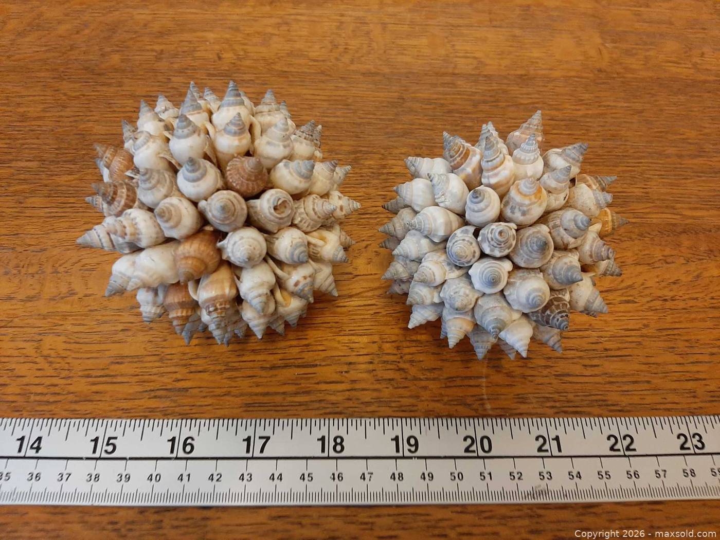 Pair of handmade sea snail shell orbs | Maxsold