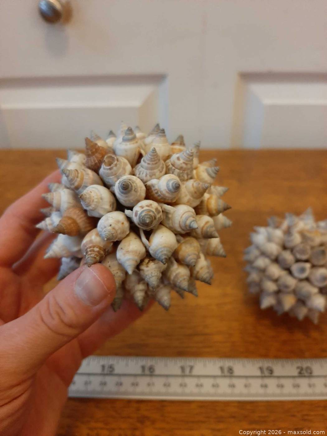 Pair of handmade sea snail shell orbs | Maxsold