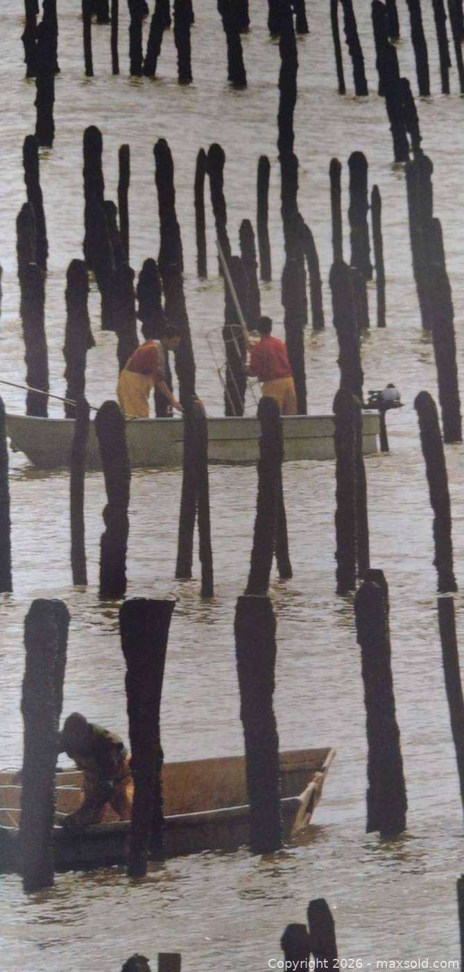 Ocean coffee table book | Maxsold