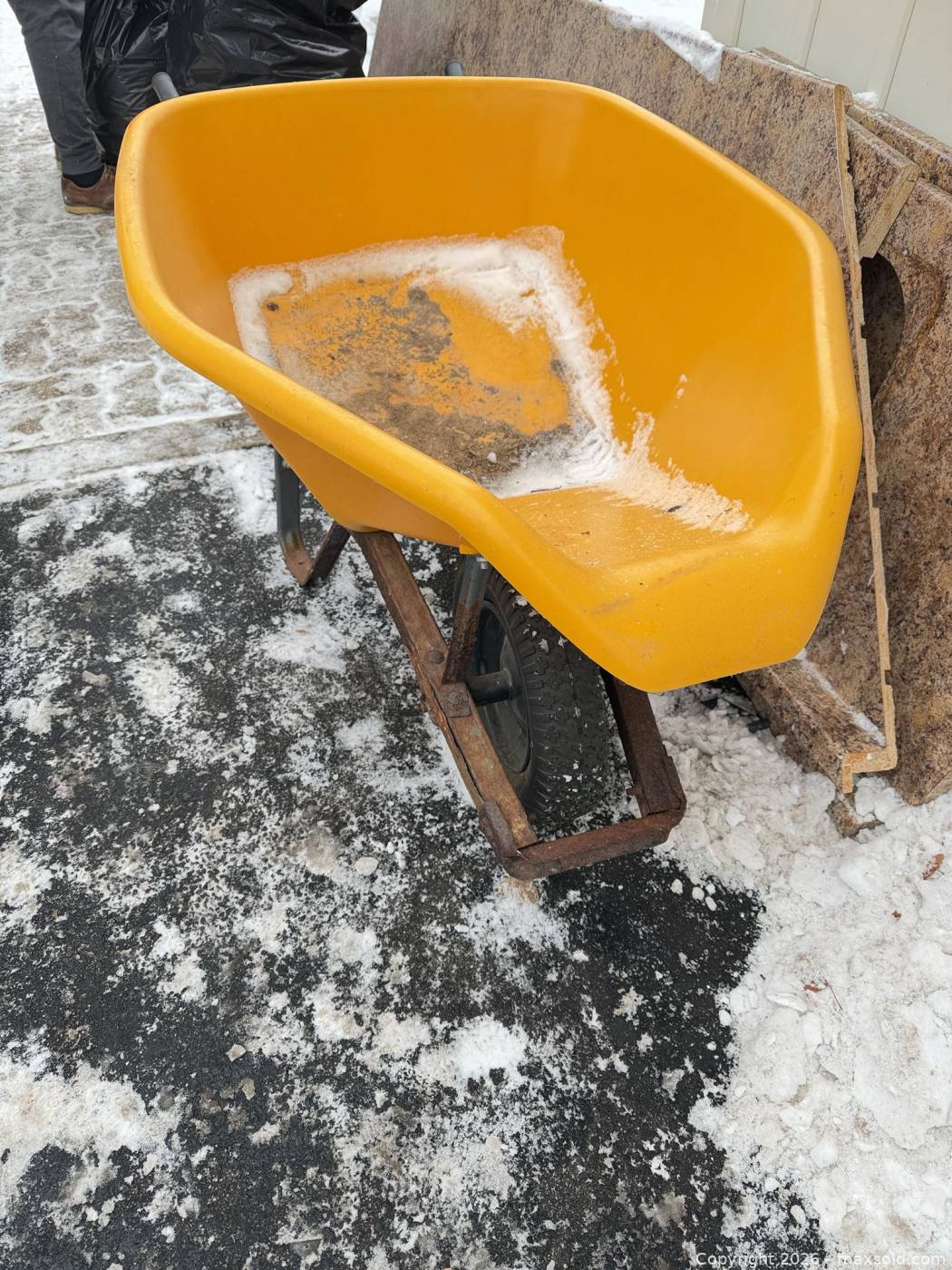 True Temper yellow plastic wheelbarrow | Maxsold