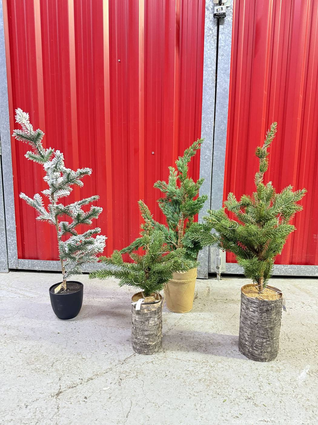 Four tabletop faux evergreen trees | Maxsold