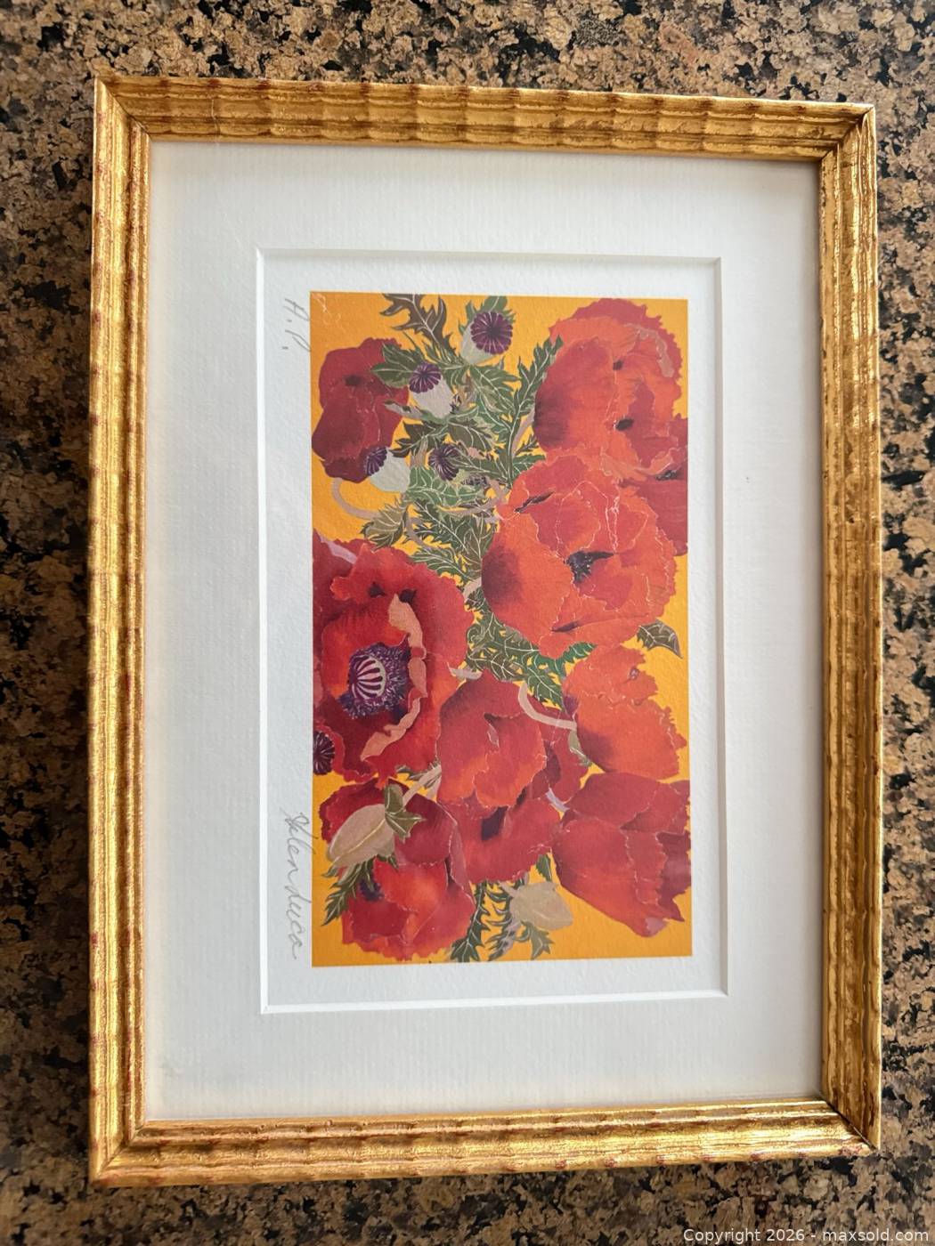 Framed Helen Lucas floral print | Maxsold