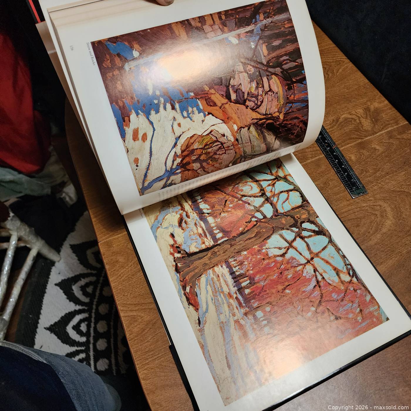 Tom Thomson: The Silence and the Storm | Maxsold