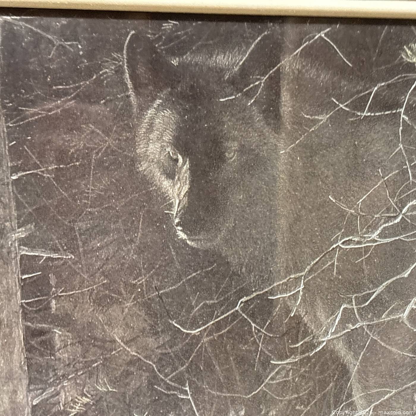 Framed winter forest wolf reproduction print | Maxsold