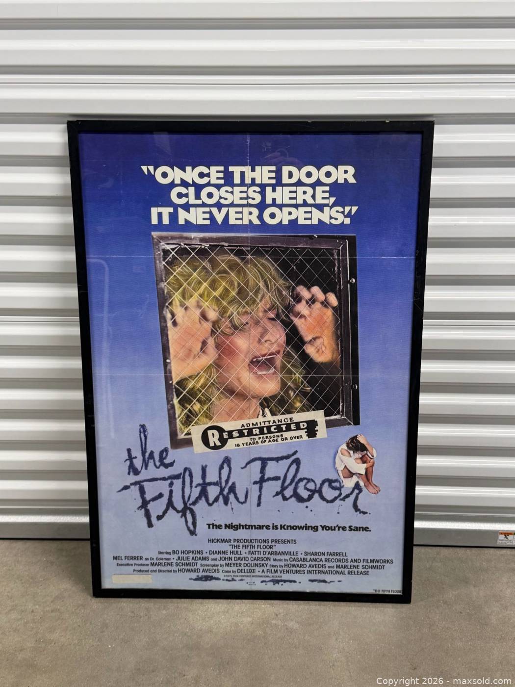 The Fifth Floor framed movie poster | Maxsold