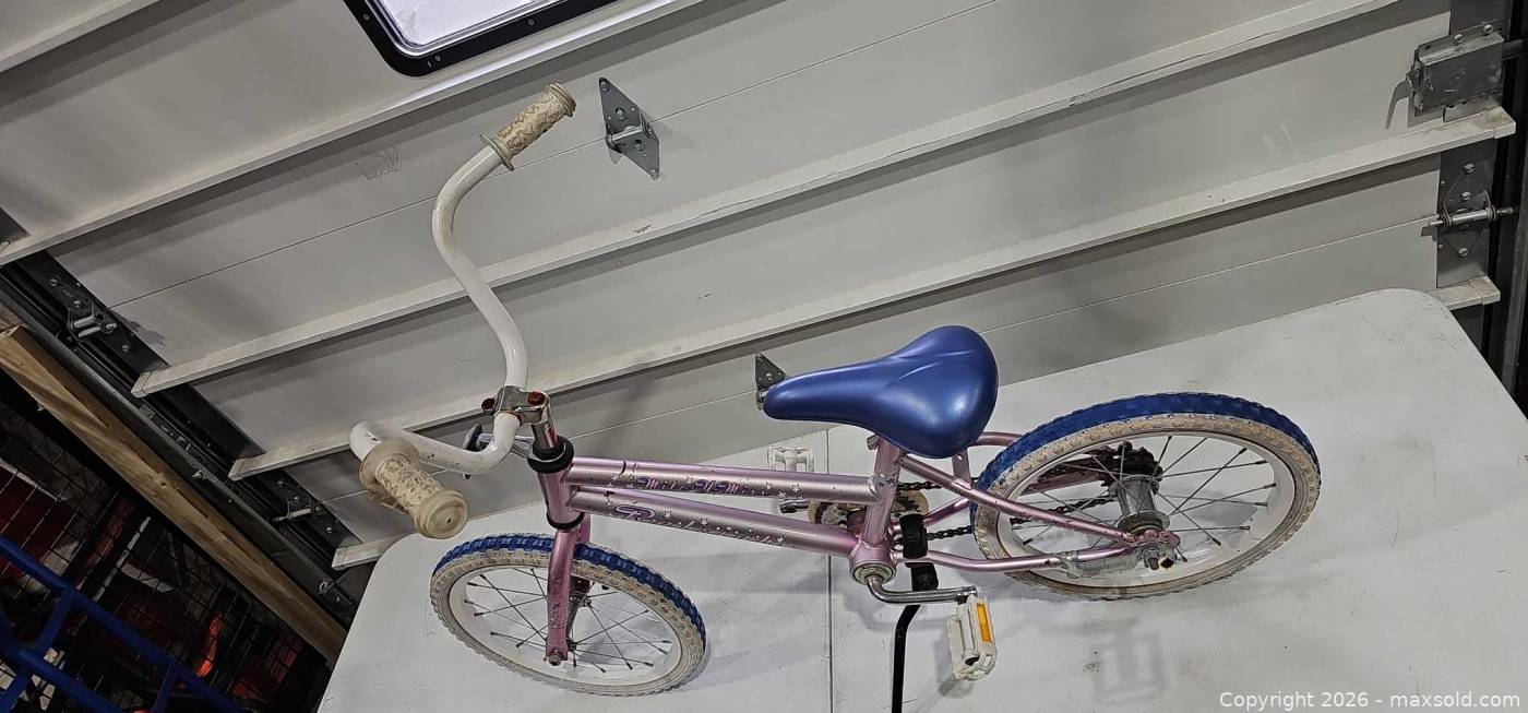 Raleigh 16-Inch Pink Kids Bicycle | Maxsold