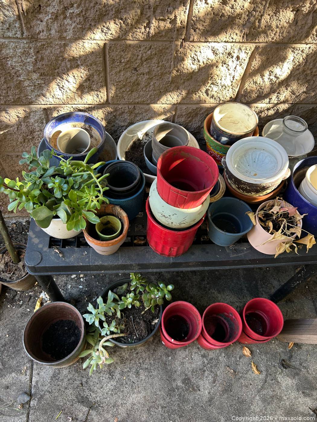 Assorted Plant Pots With Succulent Plants | Maxsold