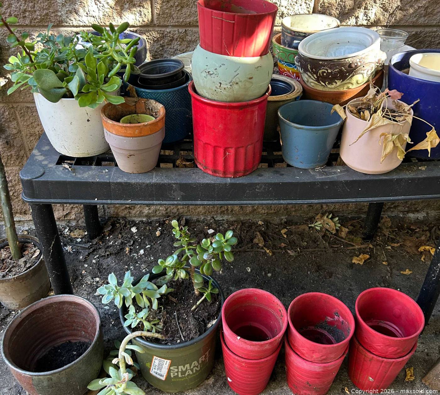 Assorted Plant Pots With Succulent Plants | Maxsold
