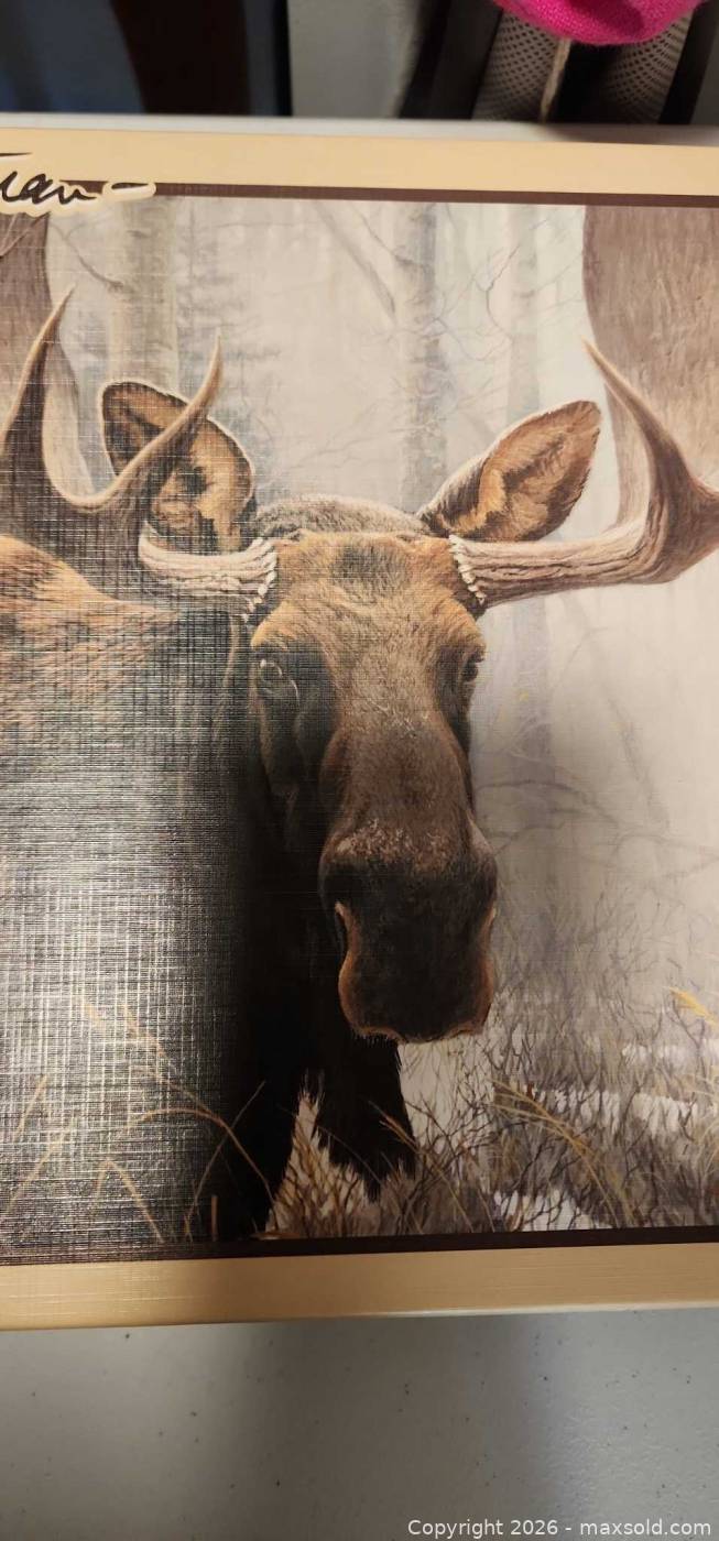 Cobble Hill Robert Bateman Bull Moose 500-Piece Puzzle | Maxsold