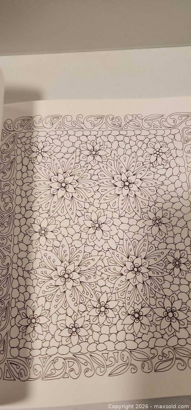 Zendoodle adult coloring book | Maxsold
