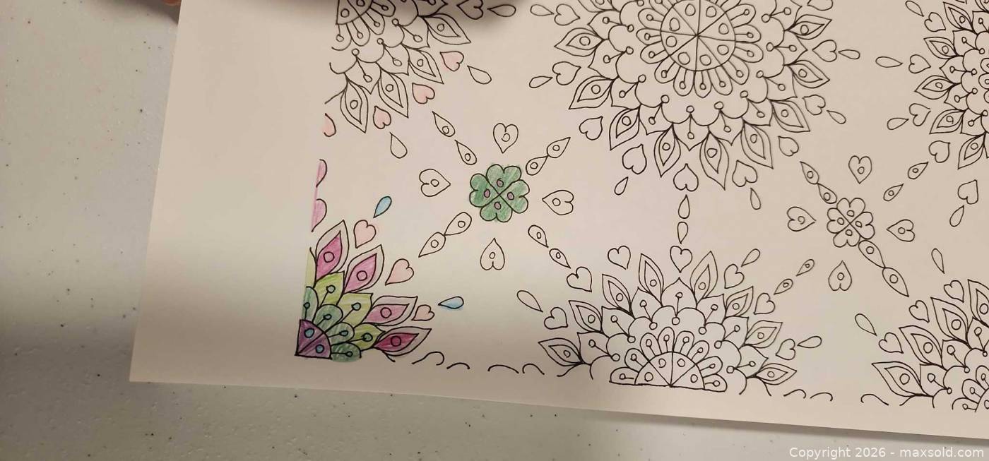 Zendoodle adult coloring book | Maxsold