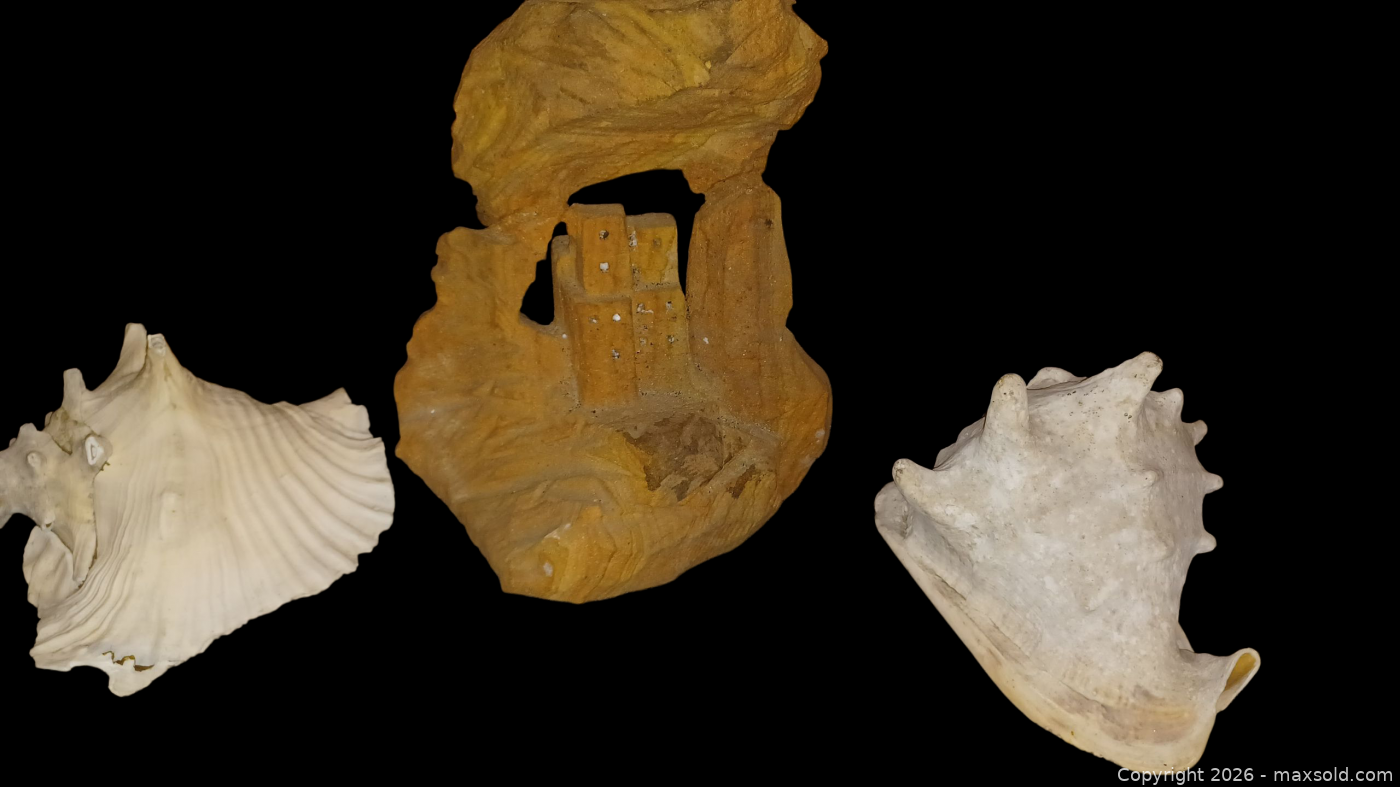 Natural stone sculpture and two seashells | Maxsold